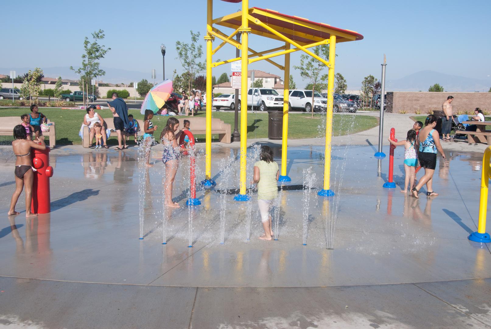 Team Spray N°1 | Vortex