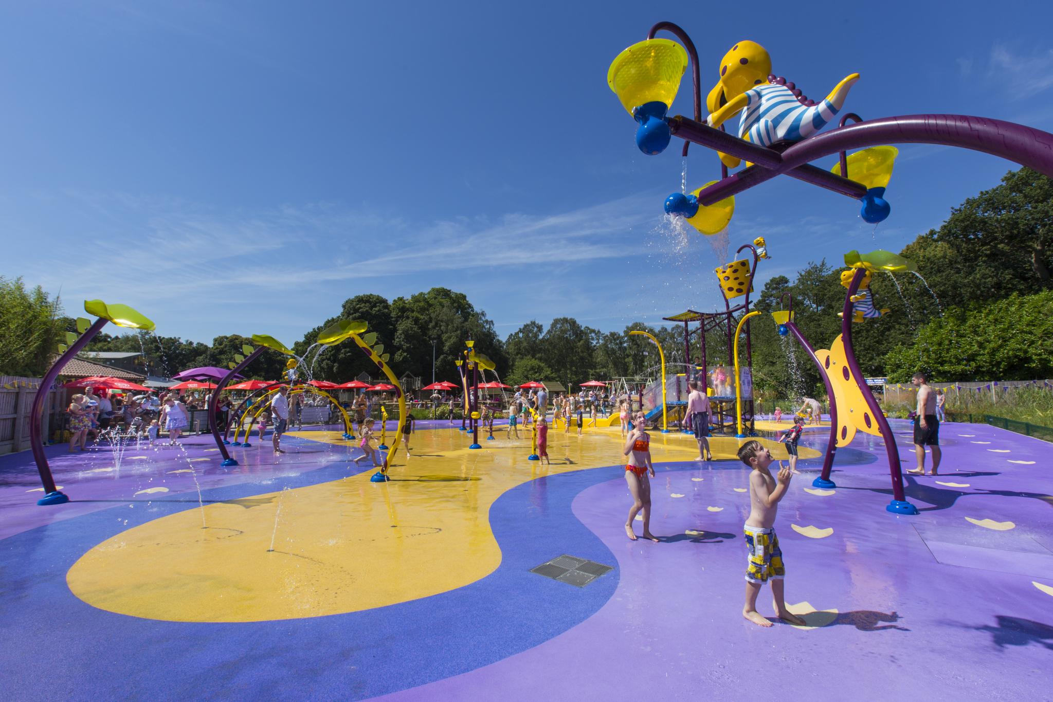 Amusement Park Equipment And Solutions | Vortex