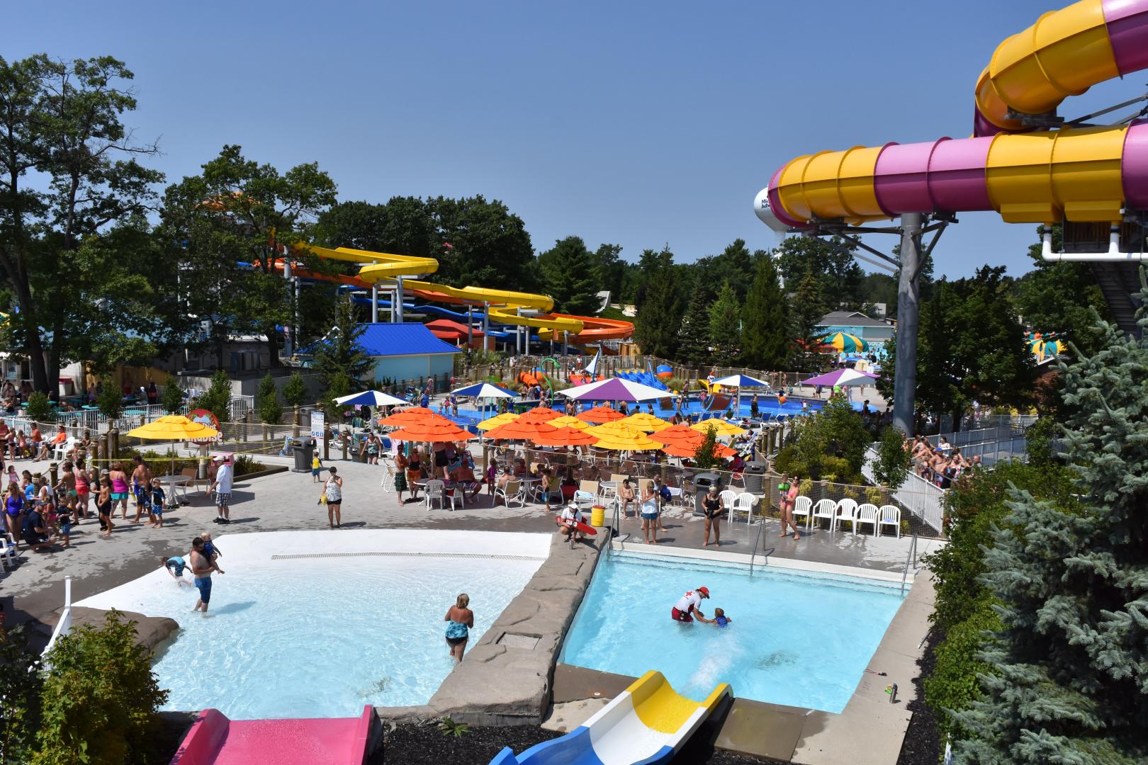 Amusement Park Equipment And Solutions | Vortex