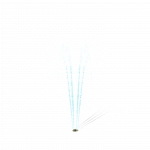 Geyser N°1 | Vortex