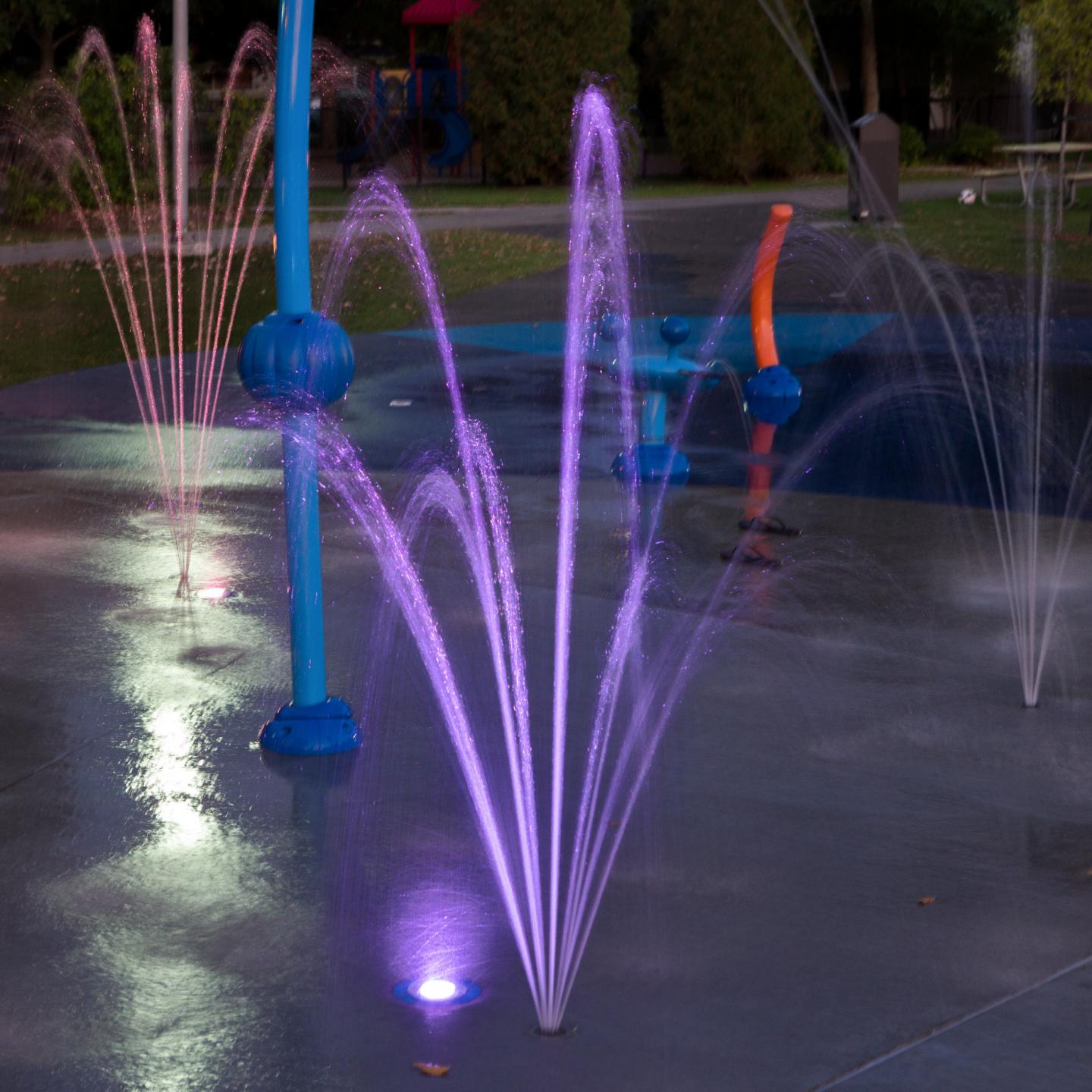 Vortex Collections | Vortex