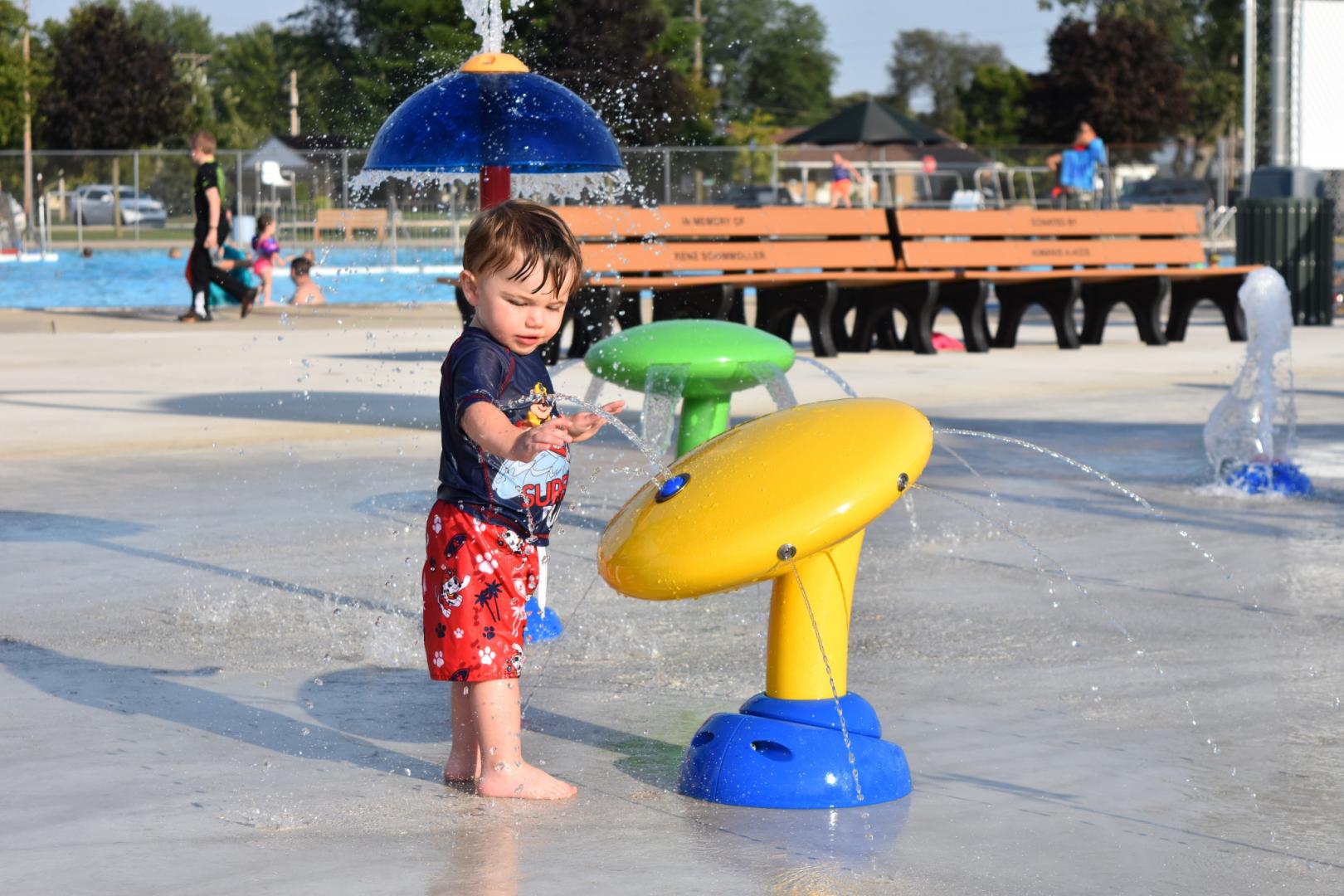 Waterbug N°3 | Vortex