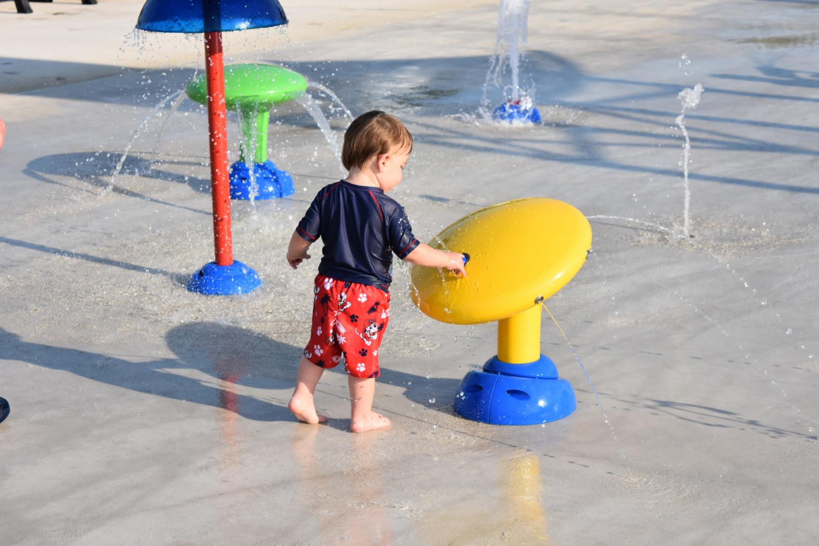 Waterbug N°3 | Vortex