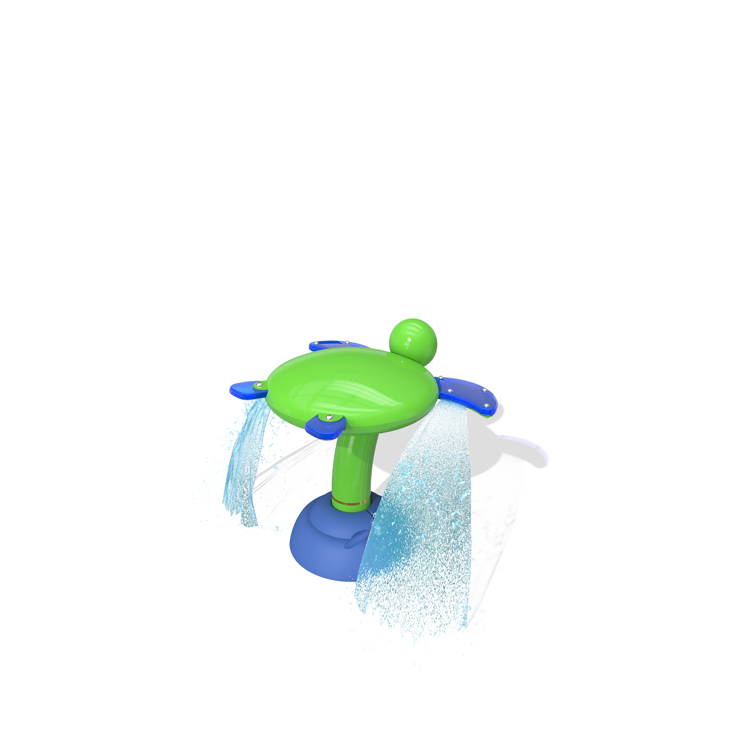 Tortue N°2 | Vortex
