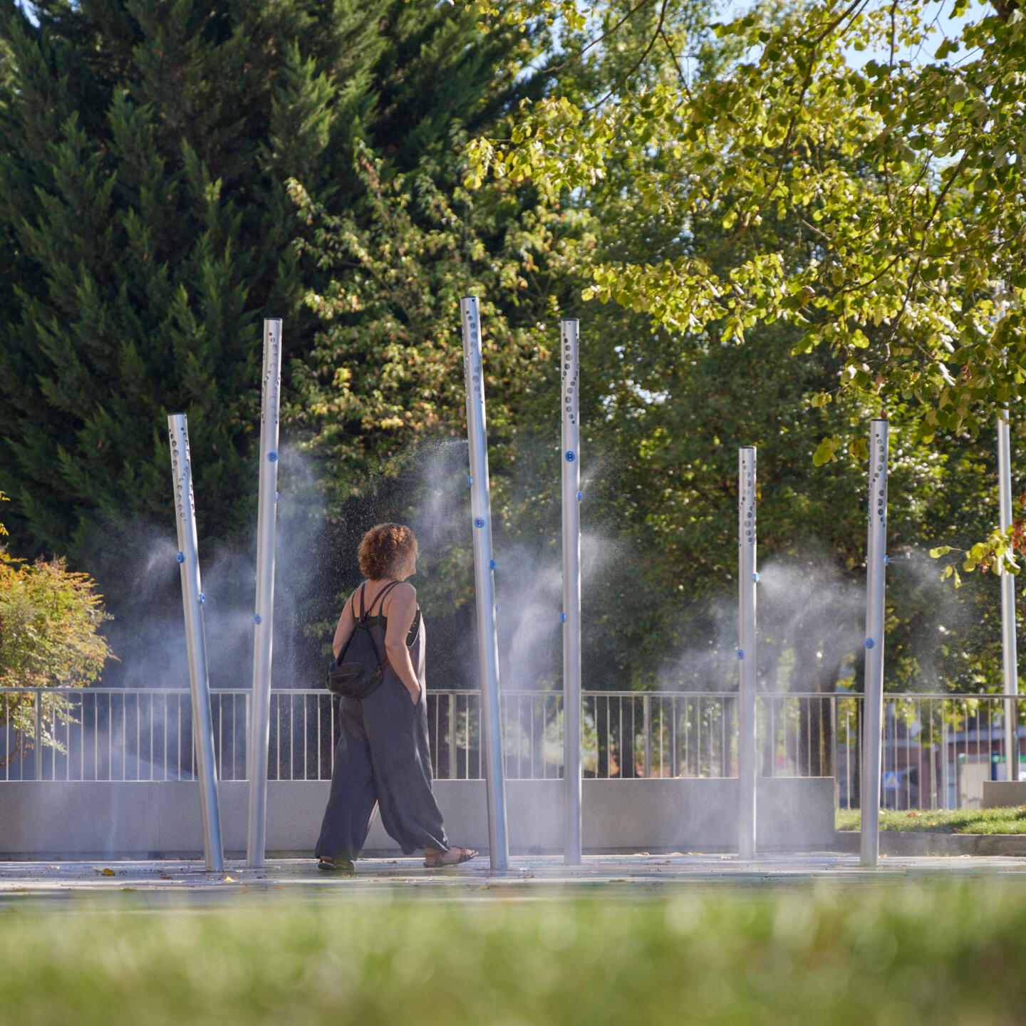 Vortex Collections | Vortex